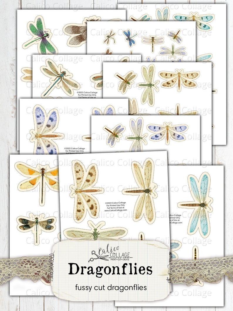 Dragonfly Junk Journal Printables, Fussy Cut Dragonflies, Vintage ...
