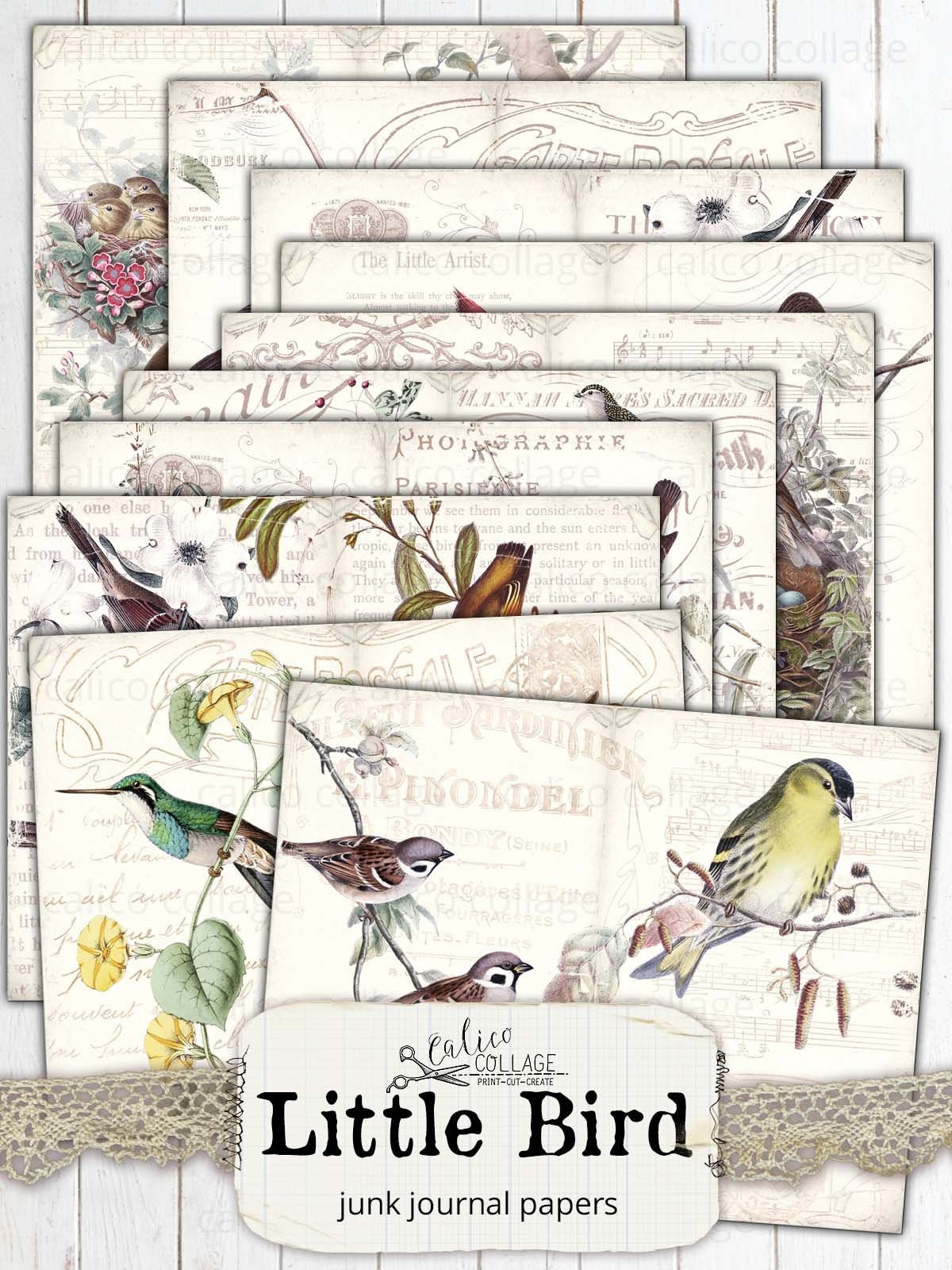 Bird Junk Journal Pages Bird Ephemera Digital Papers - Etsy