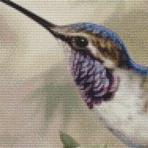 Hummingbirds (500x359 Stitches), DMC Cross Stitch Pattern, Pdf/xsd - Etsy