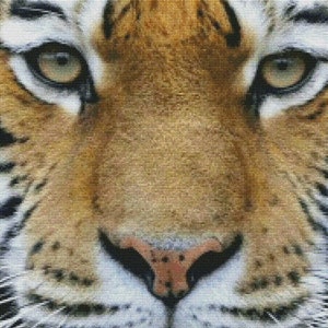 Tiger (400x600 Stitches), DMC Cross Stitch Pattern, Pdf/xsd - Etsy