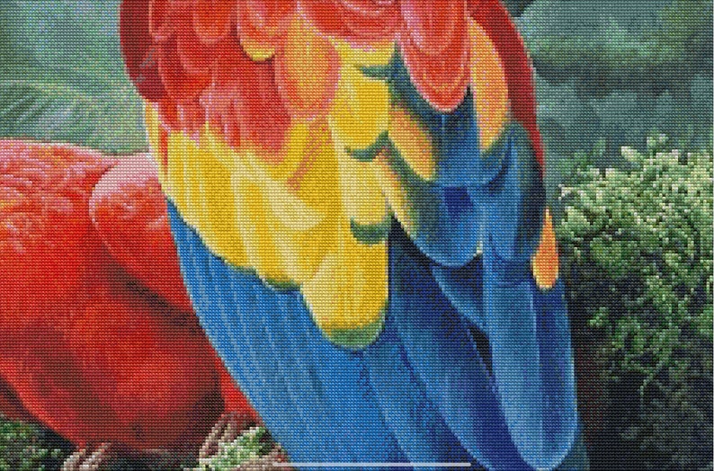 Ara Parrots (350x500 Stitches), DMC Cross Stitch Pattern, Pdf/xsd - Etsy