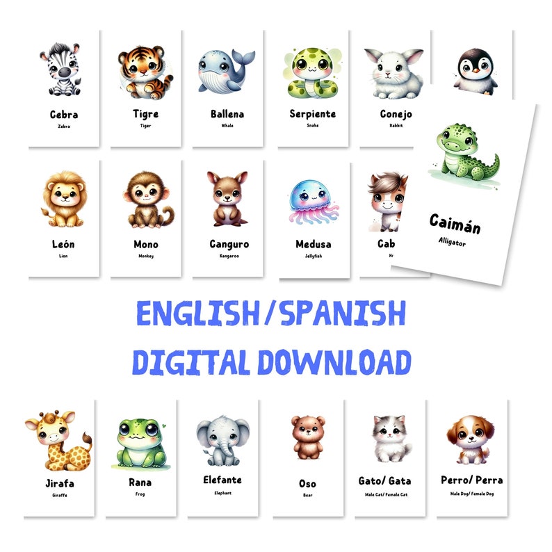 Bilingual Animal Flashcards Spanish-english Cute Animal Illustrations ...