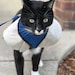 Scribble Cat Cotton Linen Cat Soft Cone Collar/ Cat Cone of - Etsy