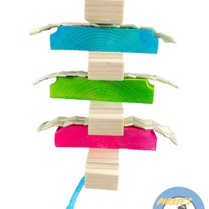 Nut-stash Forager| Fun Natural Foraging Toys for Small to Medium ...