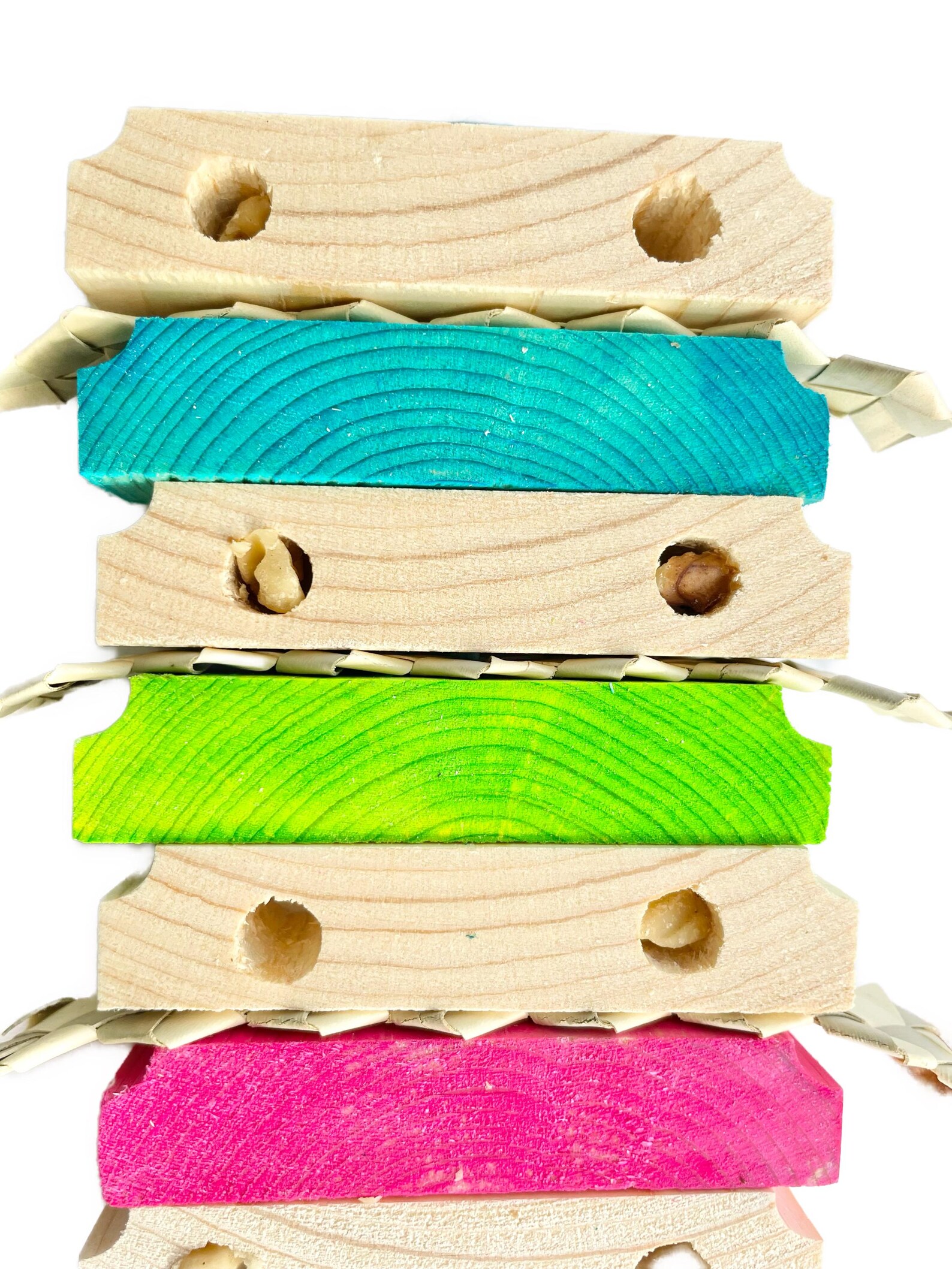 Nut-stash Forager| Fun Natural Foraging Toys for Small to Medium ...