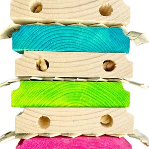 Nut-stash Forager Fun Natural Foraging Toys for Small to Medium Parrots ...