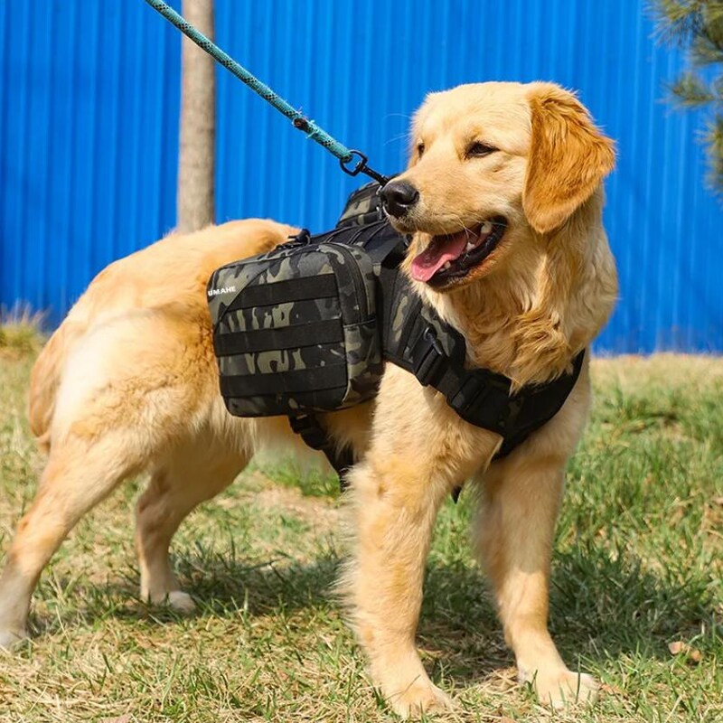 Saddle Backpack - Etsy