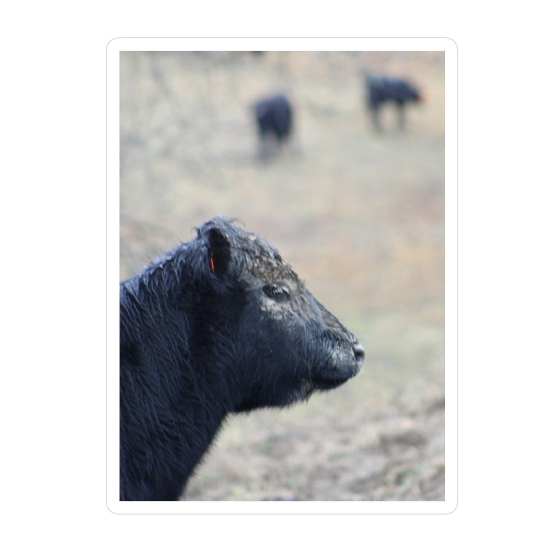 Cow Side Profile Sticker Decal - Etsy