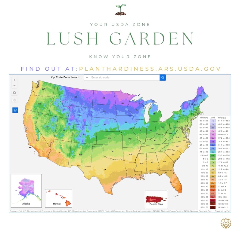 Zone 9A Garden Planner: Year-round Planting Guide and Templates (PDF ...