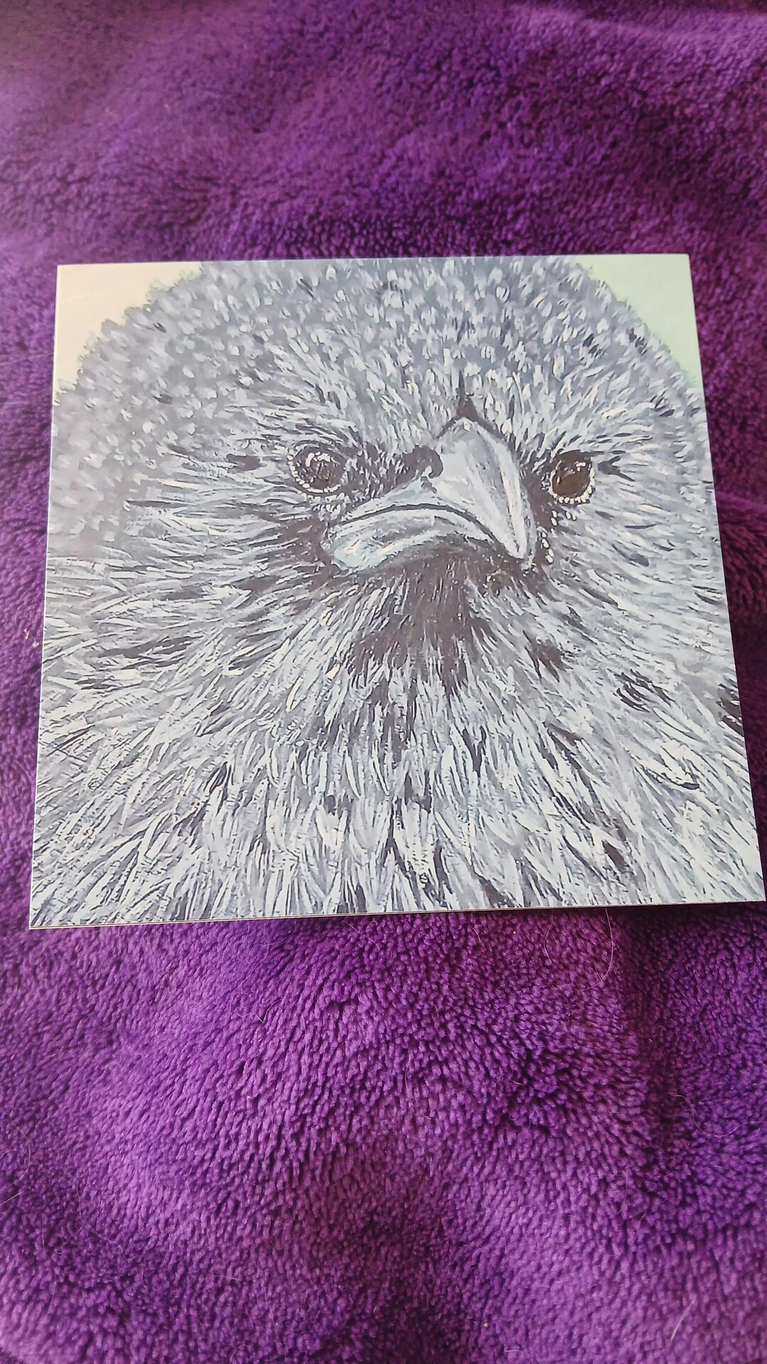 Baby Crow of Judgment - Etsy