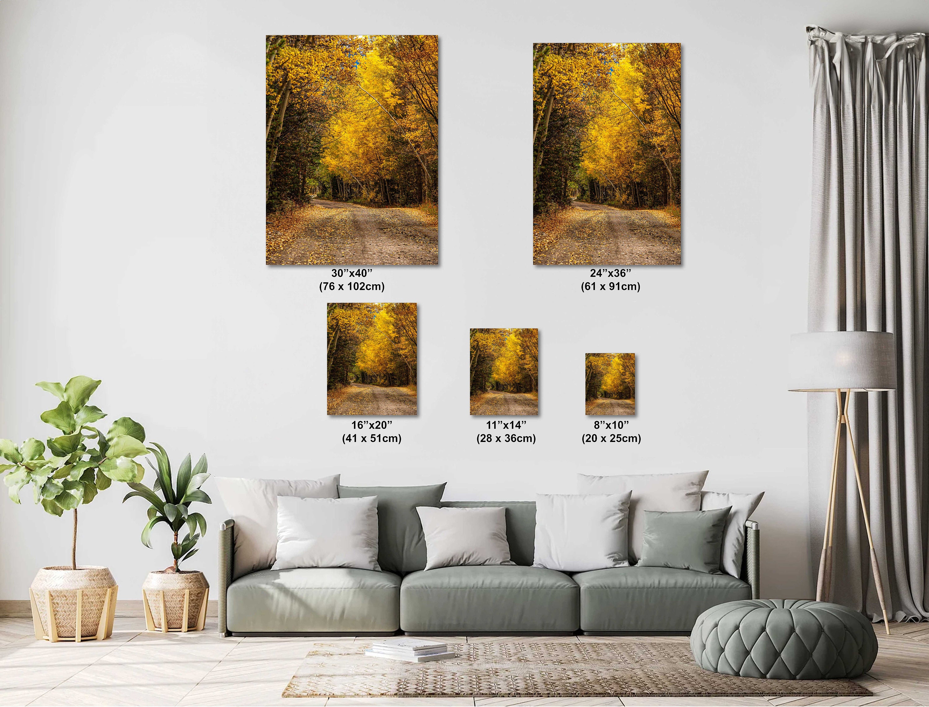 Golden Pathway: Autumn Splendor, Colorado - Etsy
