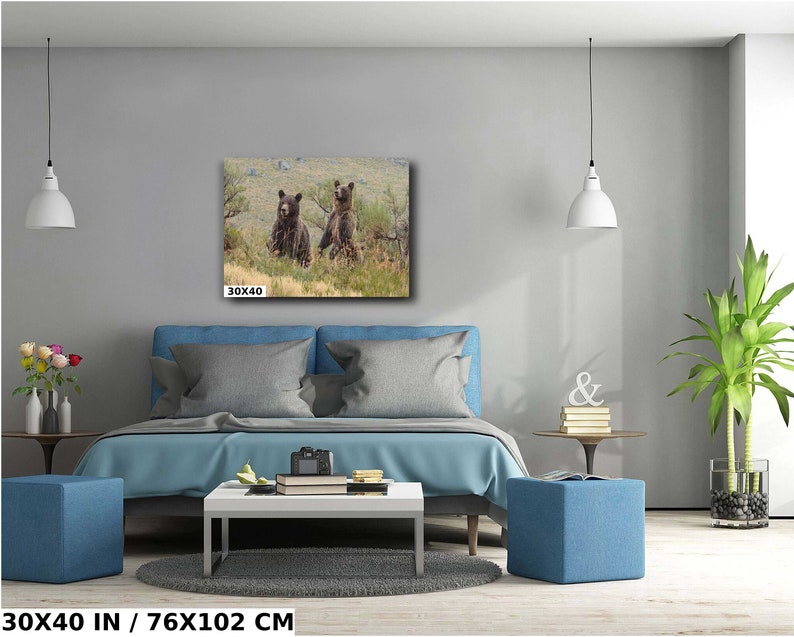 Grizzly Bears in Yellowstone - Etsy