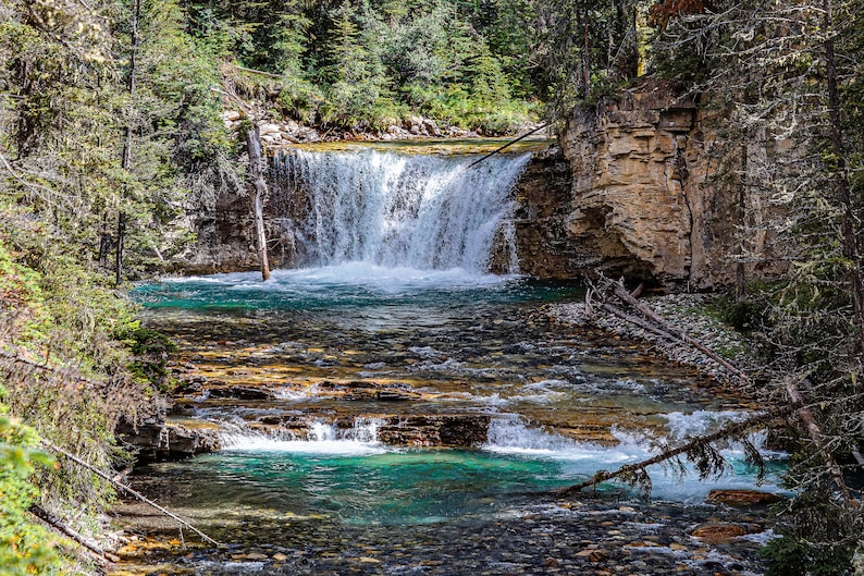 Serene Forest Waterfall Nature's Tranquil Cascade in Glacier National ...