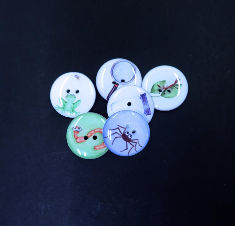6 Bug Buttons. Bug Collector Decorative Novelty Buttons. 6 - Etsy