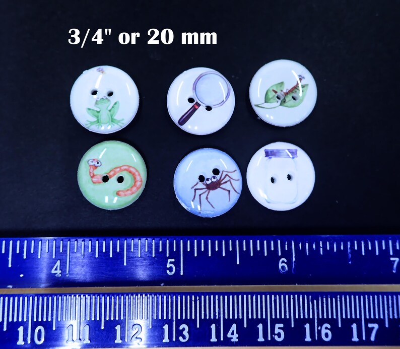6 Bug Buttons. Bug Collector Decorative Novelty Buttons. 6 - Etsy