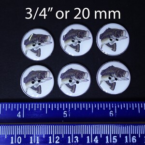 Large Mouth Bass Buttons. Fish Buttons. Realistic Image. Fisherman ...