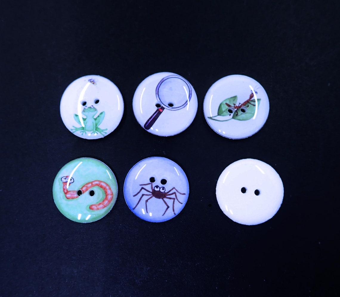 6 Bug Buttons. Bug Collector Decorative Novelty Buttons. 6 - Etsy
