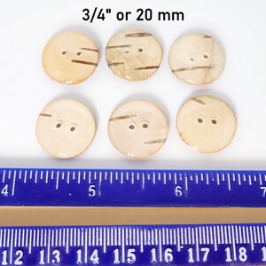 Set of 6 Handmade Real Birch Bark Sewing Buttons. Assorted Sizes ...