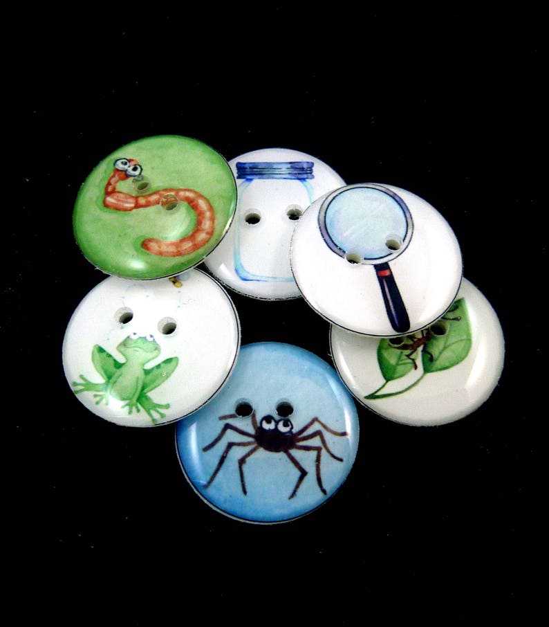 6 Bug Buttons. Bug Collector Decorative Novelty Buttons. 6 | Etsy