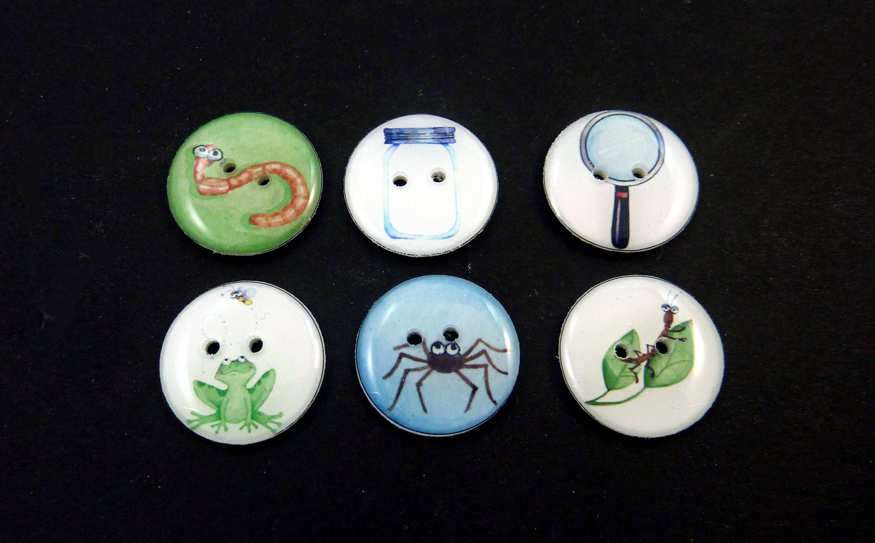 6 Bug Buttons. Bug Collector Decorative Novelty Buttons. 6 | Etsy