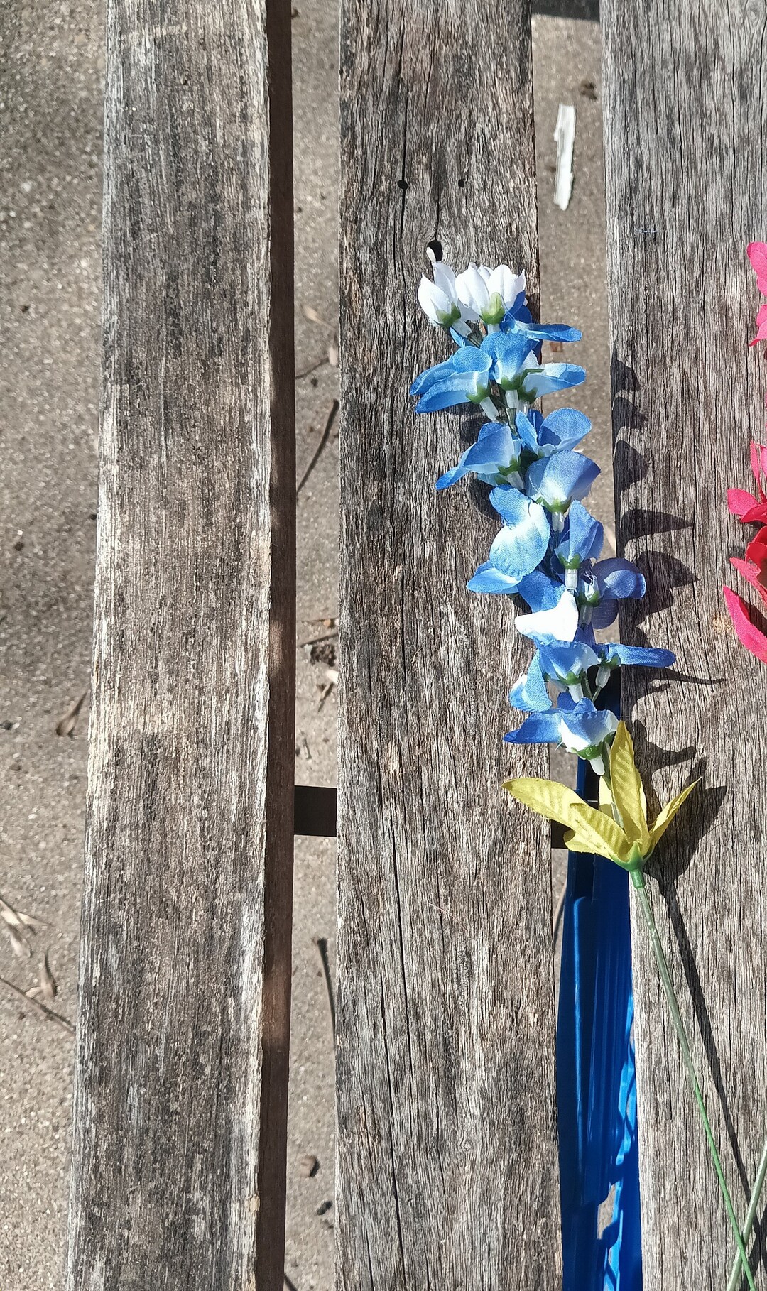Single Bluebonnet Stem - Etsy