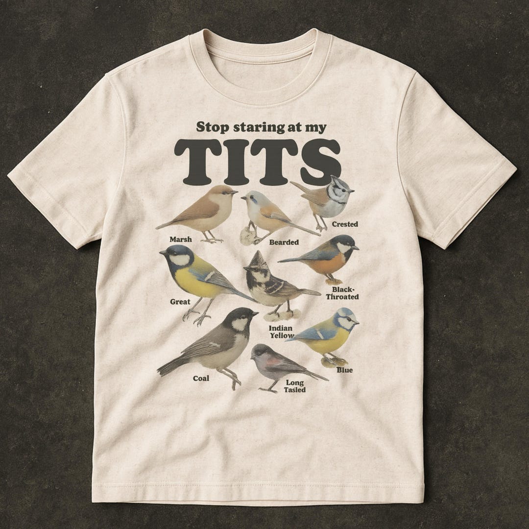 Stop Staring at My Tits Shirt, Meme Bird Shirt, Vintage Style Unisex T ...