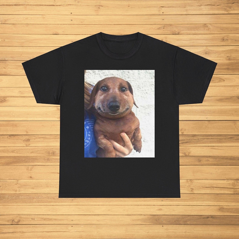 Goofy Ahh Dog Funny T-shirt, Funny Meme T-shirt, Joke Tee, Gift Shirt ...