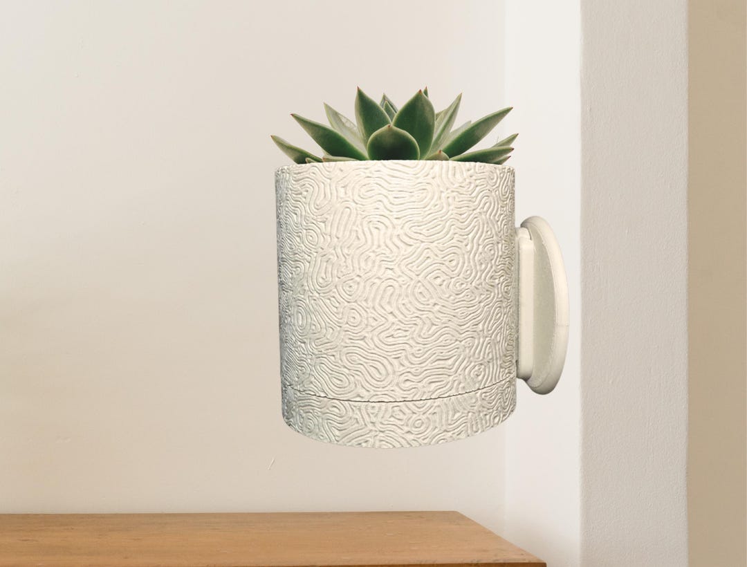 Coral Plant Pot - Wall Mounted - Hidden Drip Tray - Beige Matte - Etsy
