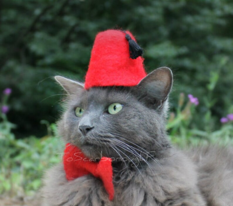 Cat Fez Aladdin Fez for Cats or Dogs Fez for Dog Cat - Etsy
