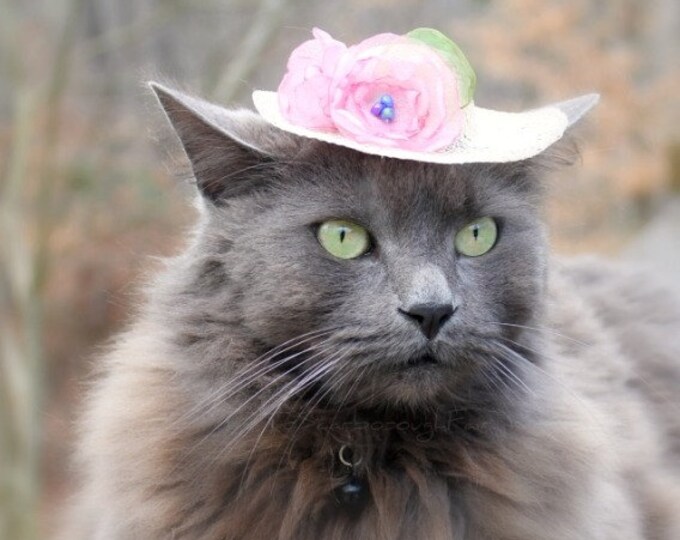 Cat Hat Elegant Mini Hat Spring Cat Hat Spring Bonnet Cat Bonnet ...