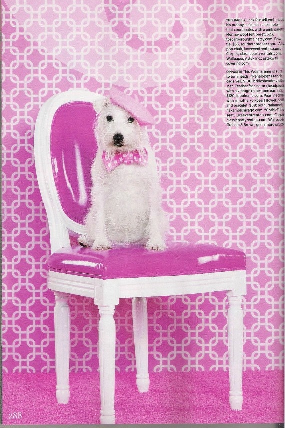 Berets for Dogs Puppy Beret Original Bridesmaids Movie | Etsy