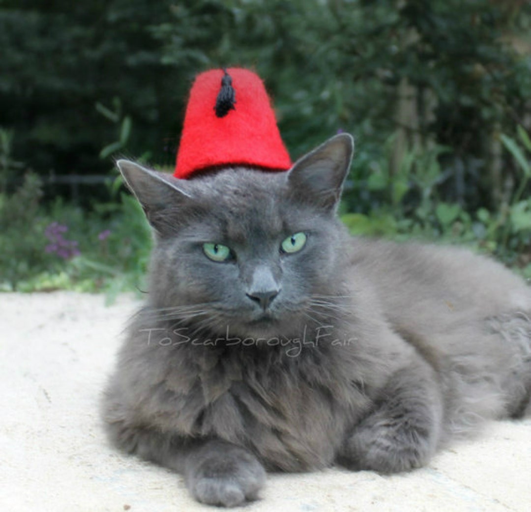 Cat Fez Aladdin Fez for Cats or Dogs Fez for Dog Cat - Etsy