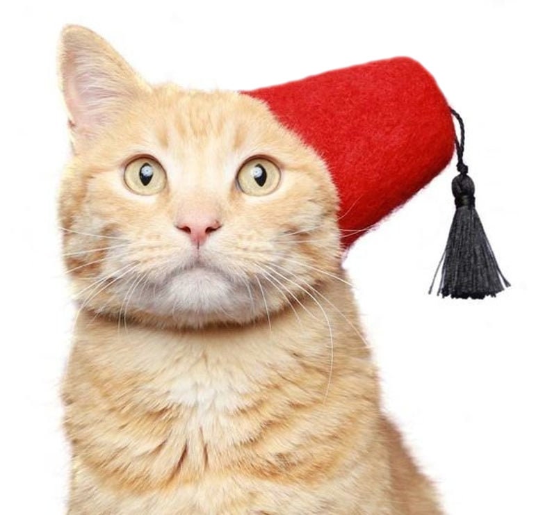 Cat Fez Aladdin Fez for Cats or Dogs Fez for Dog Cat | Etsy
