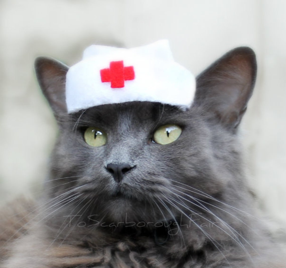 Nurse Kitty Cat Hat Vintage Style Pet Nurse Pet Halloween - Etsy UK