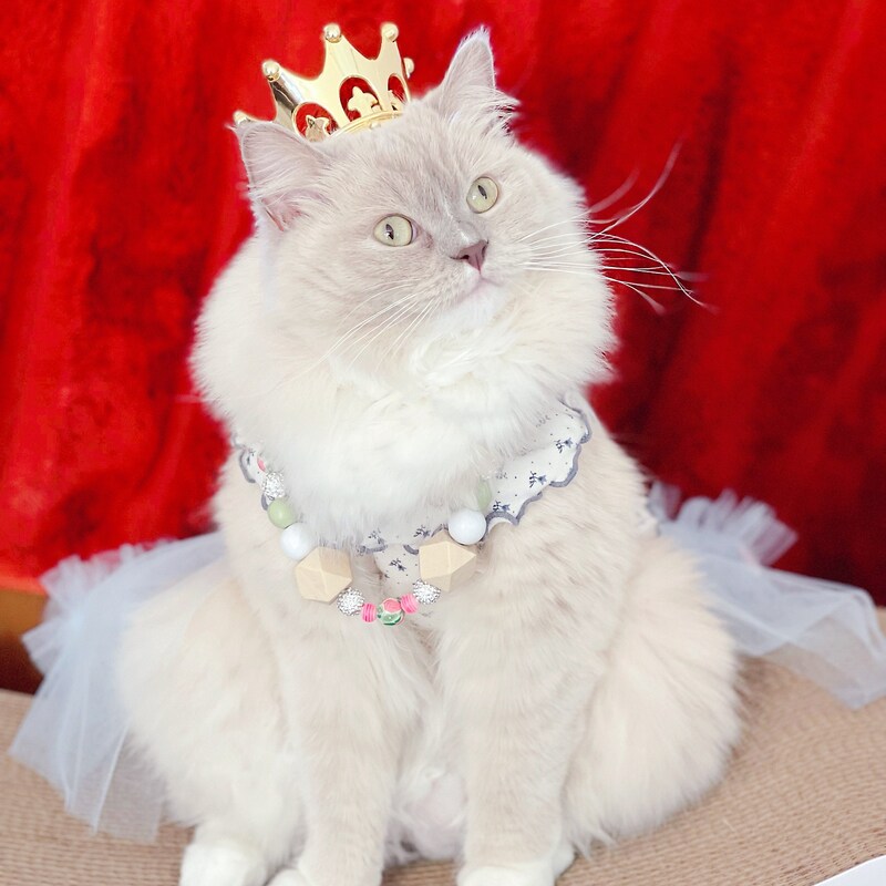 Cat Crown - Etsy