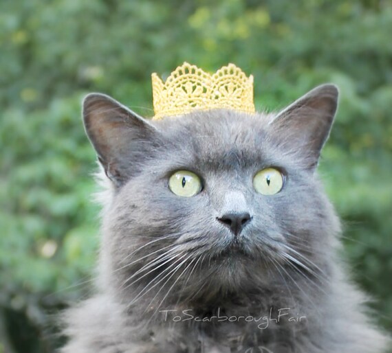 Goldene Katzen Tiara Katzenkrone Katzenkönig Krone | Etsy