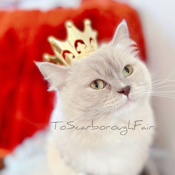 Cat Crown - Etsy