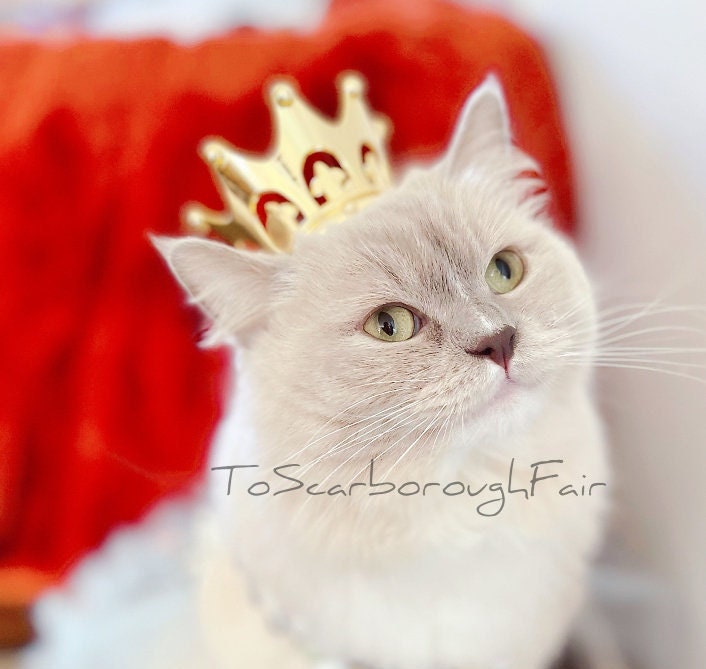Cat Crown-princess Crown for Cat-pet Crown-mother's Day Gift-dog Crown ...