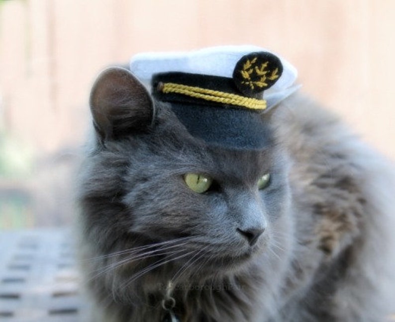Marine Captain Mini Hat Cat Captain Hat Original Design - Etsy