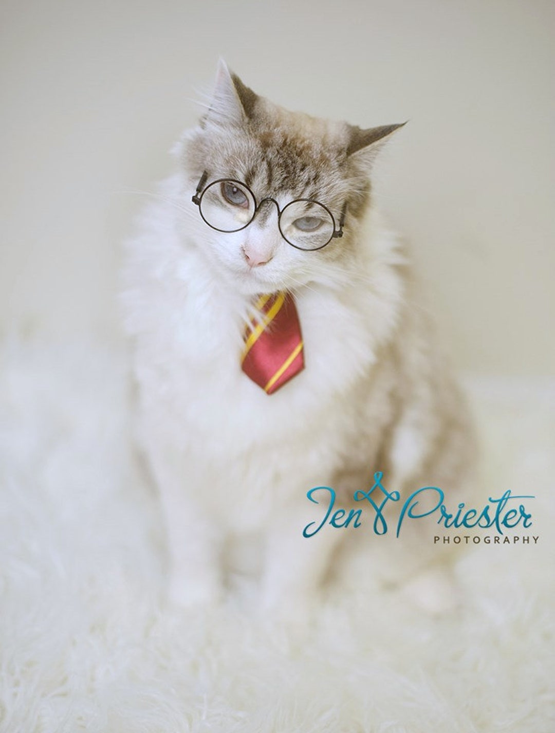 Harry Potter Cat Costume - Cat Halloween Costume - Harry Potter Cat ...