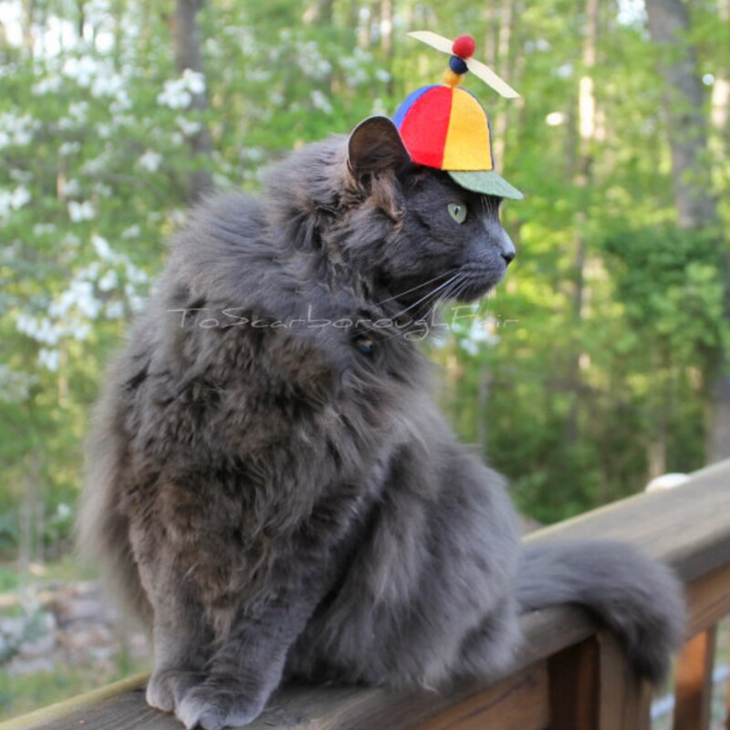 Propeller Hats - Etsy