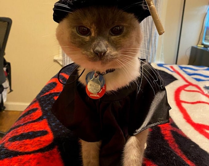 Mini-sized Graduation Cap Cat Hat for Your Cat FREE SHIPPING! Add-on ...