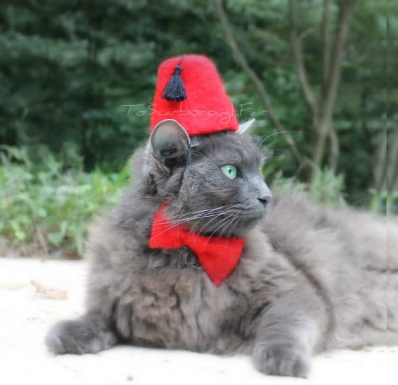 Cat Fez Aladdin Fez for Cats or Dogs Fez for Dog Cat | Etsy