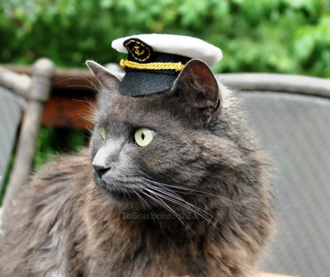 Marine Captain Mini Hat Cat Captain Hat Original Design - Etsy