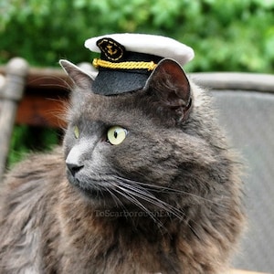 Marine Captain Mini Hat - Cat Captain Hat - Original Design - Pet ...