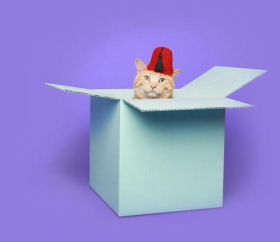 Cat Fez Aladdin Fez for Cats or Dogs Fez for Dog Cat | Etsy