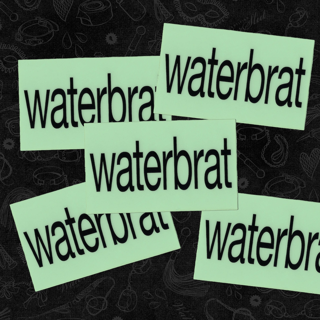 Brat Charli XCX Custom Sticker | Stanley Water Bottle Stickers ...