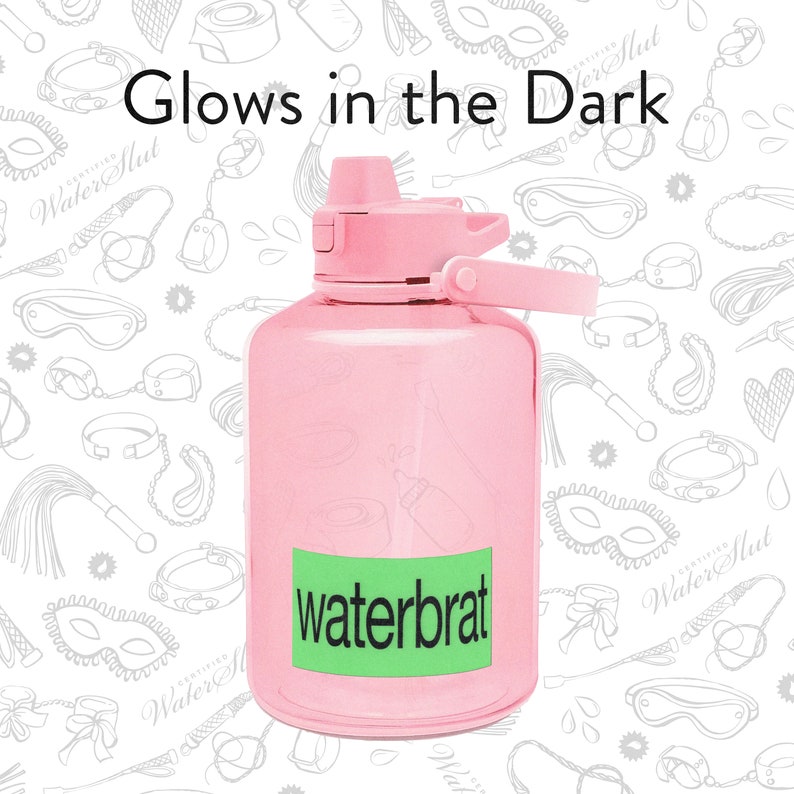 Brat Charli XCX Custom Sticker | Stanley Water Bottle Stickers ...