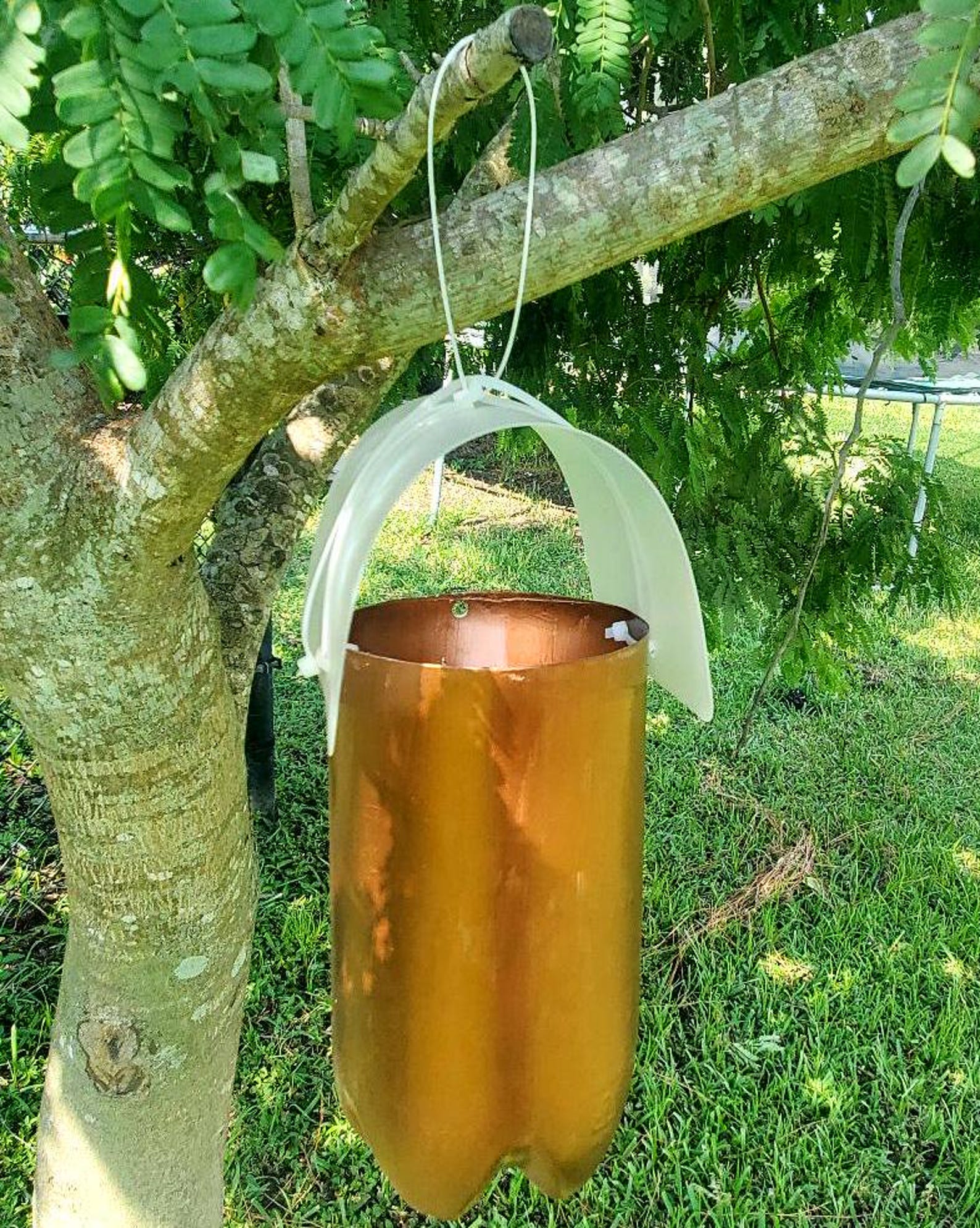 The Bug Hutt Mosquito Trap - Etsy