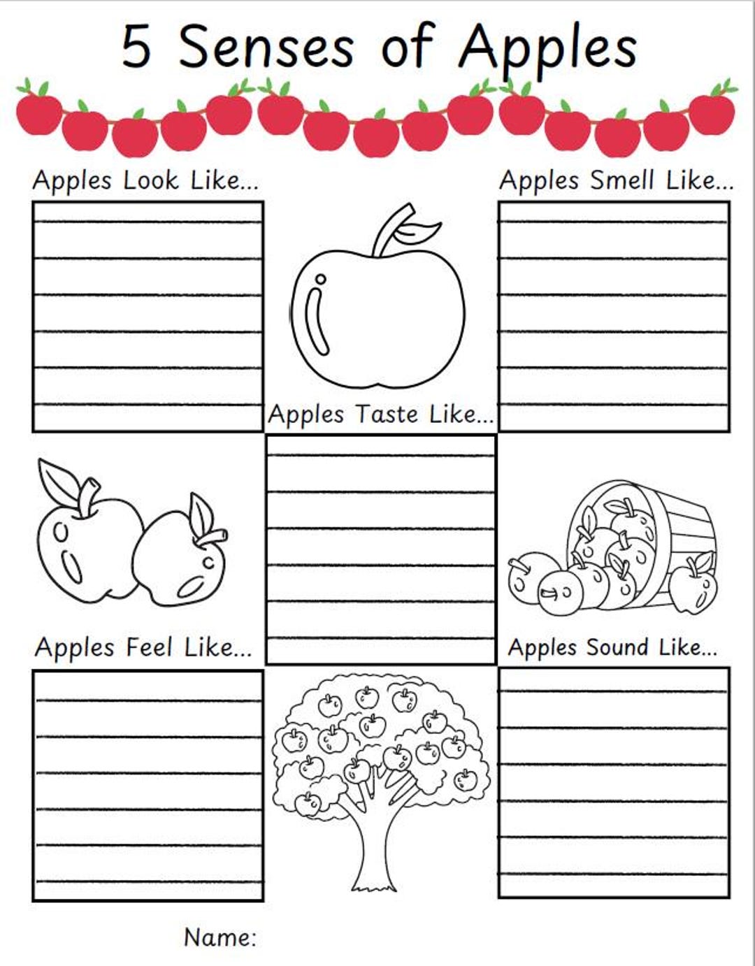 5 Senses of Apples - Etsy